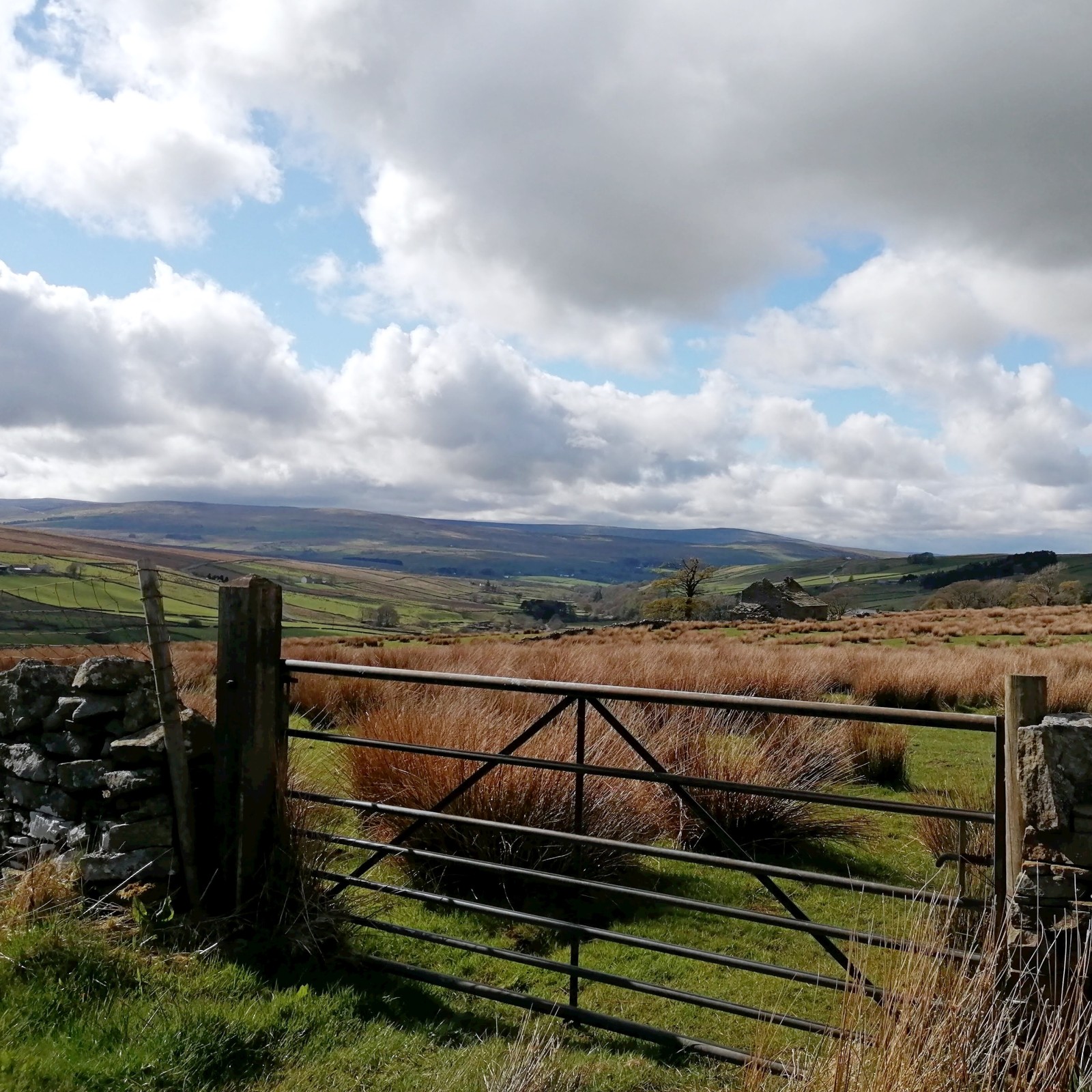 In the Durham Dales | The Border Tart
